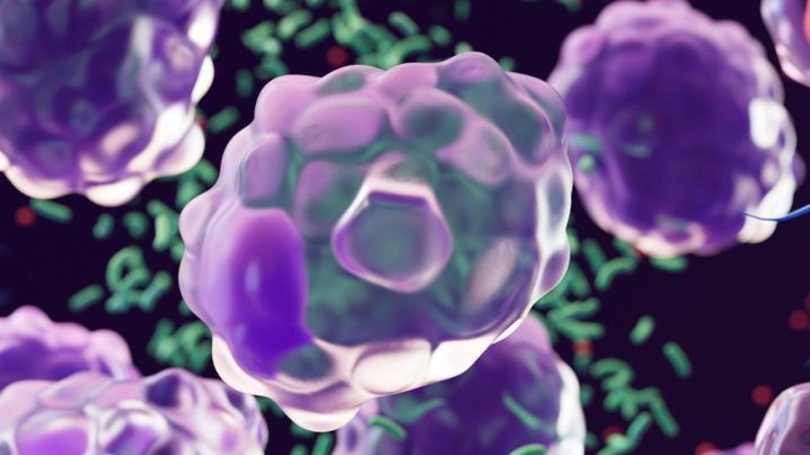 UK researchers explore use of nanoparticles to improve cancer therapy ...